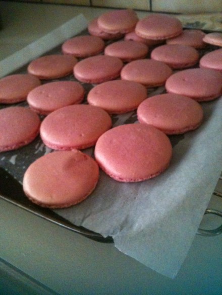 Musk Layered Cake with Musky Macarons + Macaron tips | whiskitforabiscuit